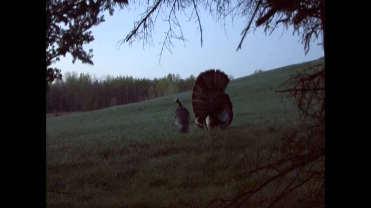 Patternmaster Code Black - YouTube