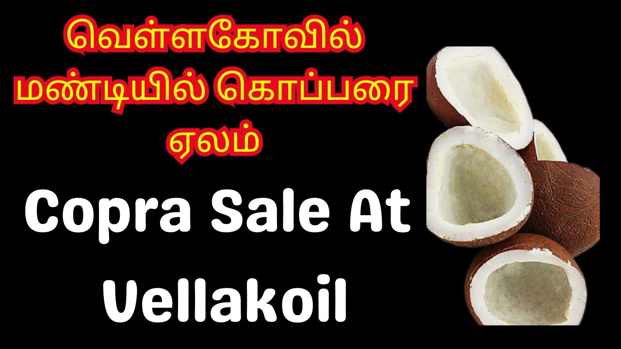 வெள்ளகோவில் மண்டியில் கொப்பரை ஏலம் | Copra Price At Vellakoil | Koppara ...