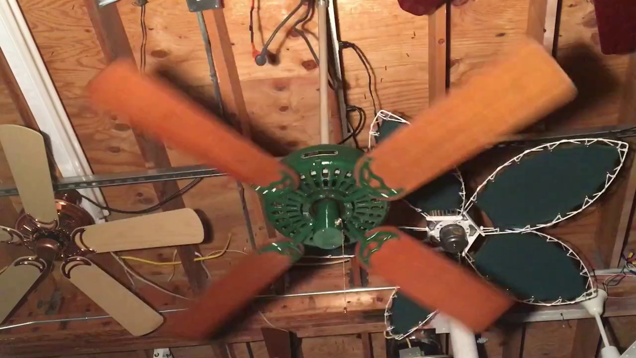 Green Ceiling Fan Hunter | Shelly Lighting