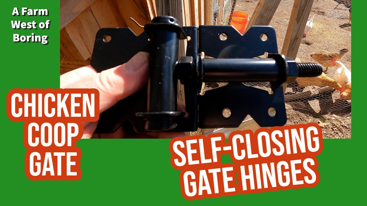 How to install heavy-duty SELF-closing gate on the Chicken COOP - YouTube