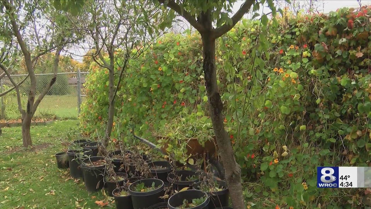 'Everybody has found themselves down': Foodlink makes farm to table ...