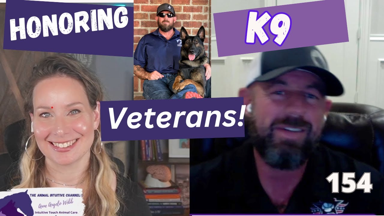Saving Military Dogs-Warrior Dog Foundation, Mike Ritland🐕💜154 - YouTube