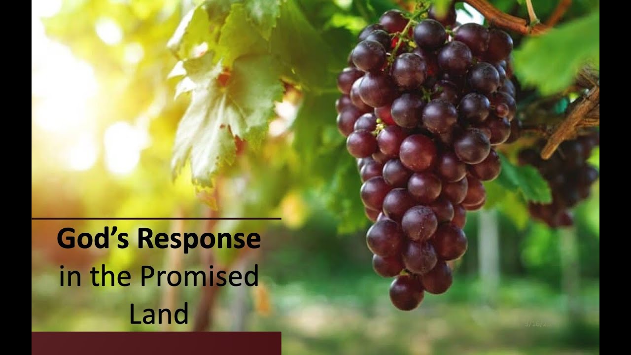 God's Reponse in the Promised Land - YouTube