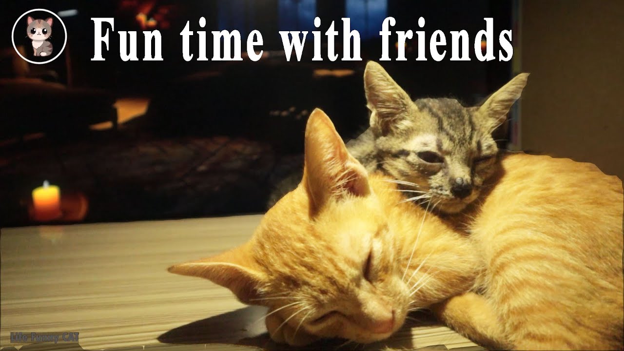 Fun time with friends | Video#31 Cinema time with friend - YouTube