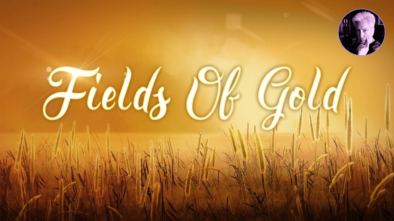 Fields Of Gold | Eva Cassidy Karaoke - YouTube