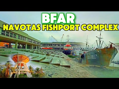 SALEX/NEW BFAR OF NAVOTAS FISHPORT COMPLEX UPDATE - YouTube