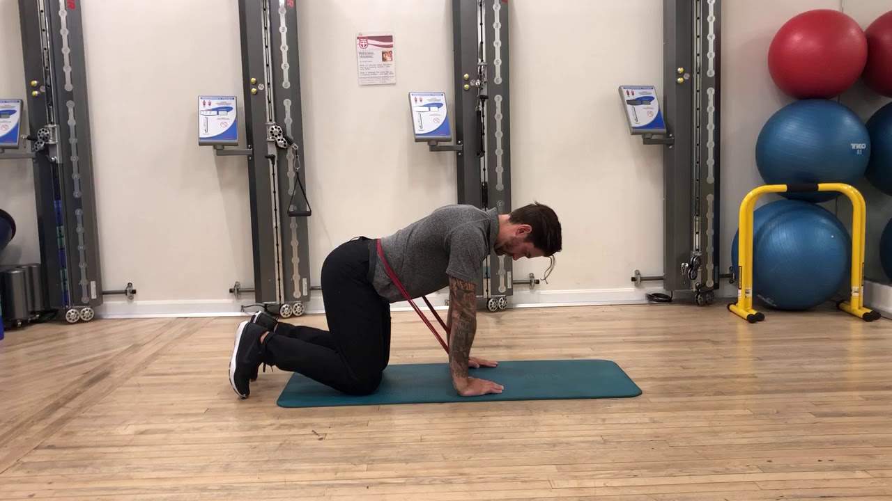 Segmented Lumbar Cat Cows With Band - YouTube