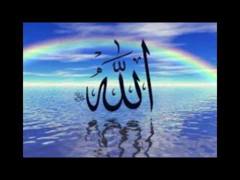 Whatsapp Üçün maraqli Statuslar | Whatsapp video status