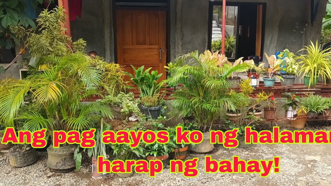 Ang pag aayos ko ng halaman sa harap ng bahay😍 - YouTube