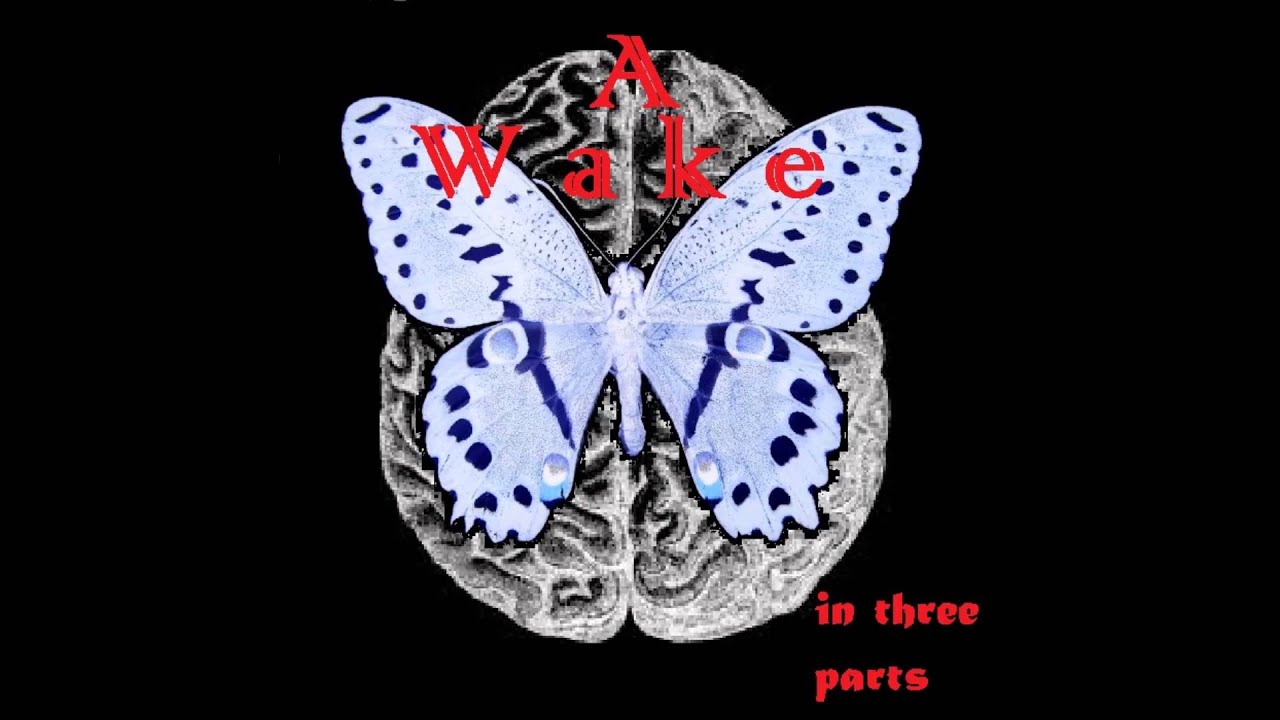 A Wake - Part 2 - Segue Into Transition - YouTube