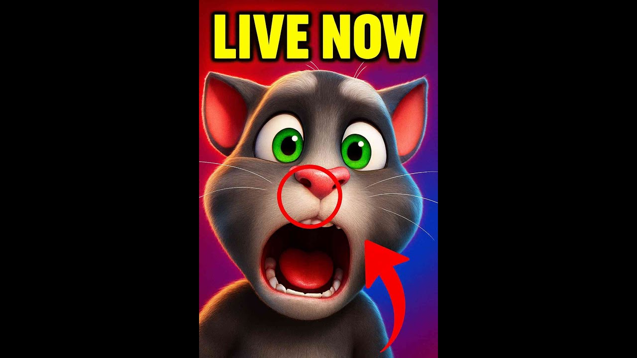 🔴 LIVE: Talking Tom Goes CRAZY! 😹 Funniest Reactions & Cat Chaos! - YouTube