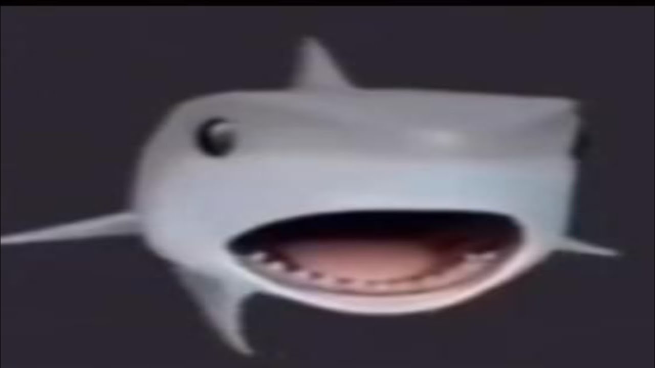 goofy ahh shark - YouTube