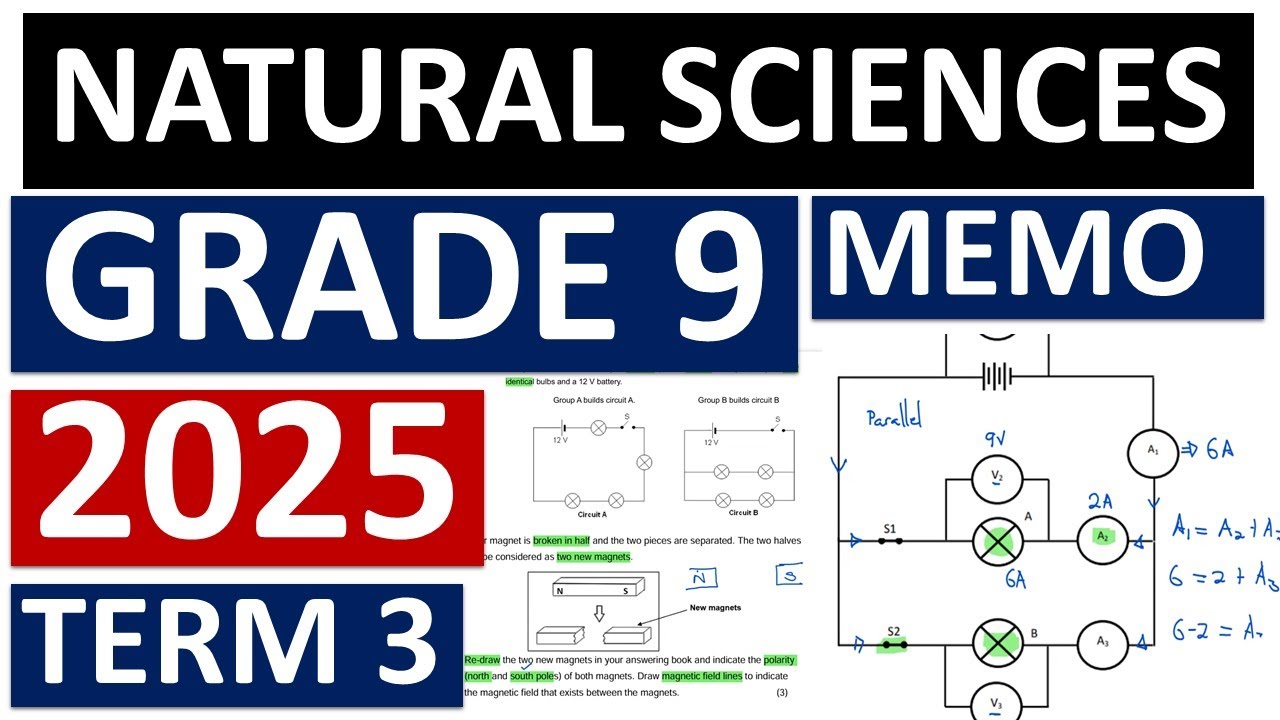 NATURAL SCIENCES GRADE 9 NS 2025, GRADE 9 NATURAL SCIE TERM 3 EXAM/TEST ...