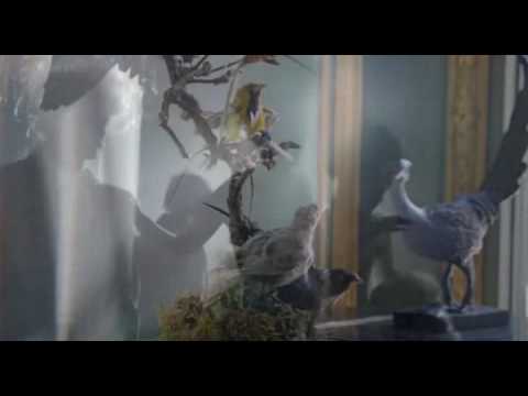 Katy Perry   Love Me Music Video   'PRISM' OUT NOW!