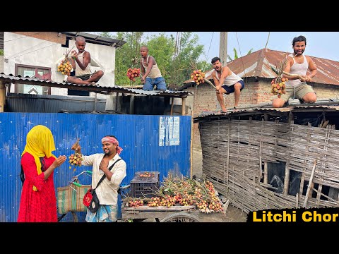 LITCHI CHOR || Latest Amazing Comedy Video Story || Bindas Fun Nonstop