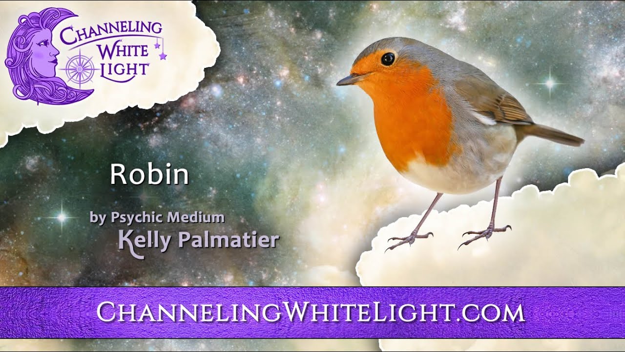 Mediumship Reading Excerpt - "Robin" - YouTube
