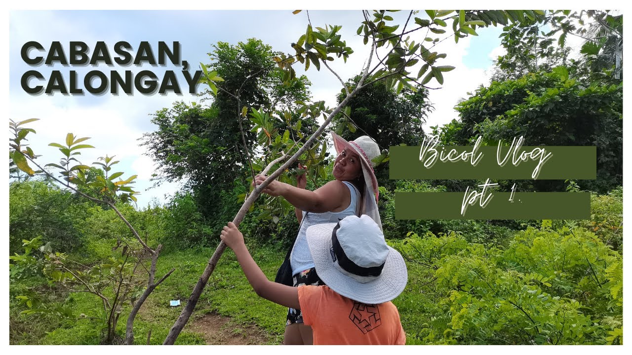 Cabasan Calongay! | Bicol Vlog pt. 1 - YouTube