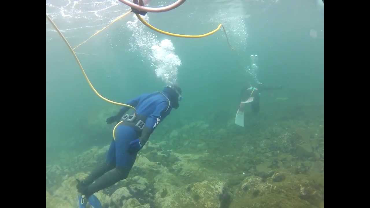 Baja Blue Diver Hose Dive for firts time diver - YouTube