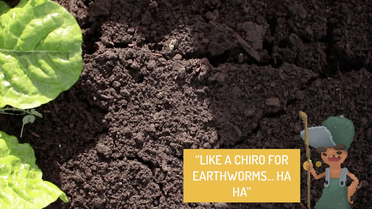 Introducing the GUNDAROO TILLER Broadfork - YouTube