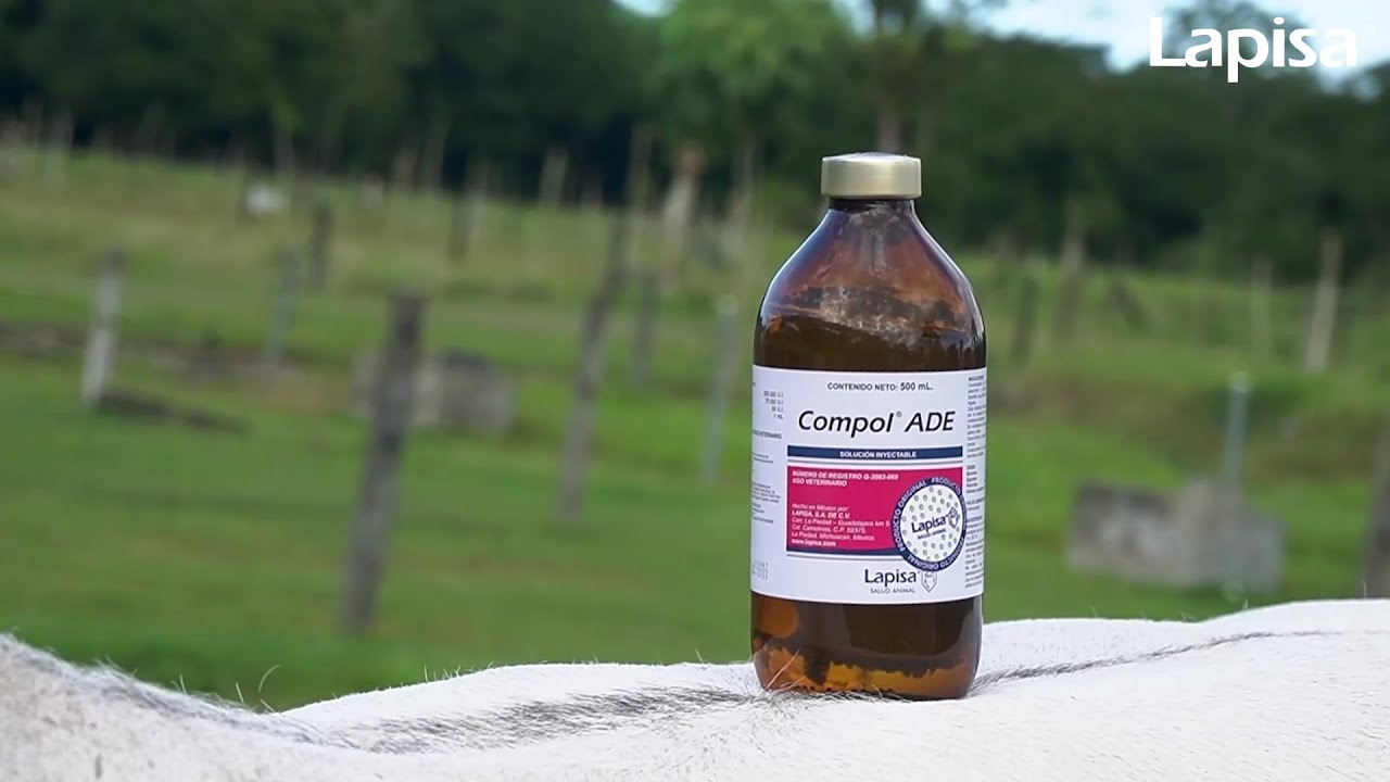 Compol ADE | Lapisa Centroamérica - YouTube