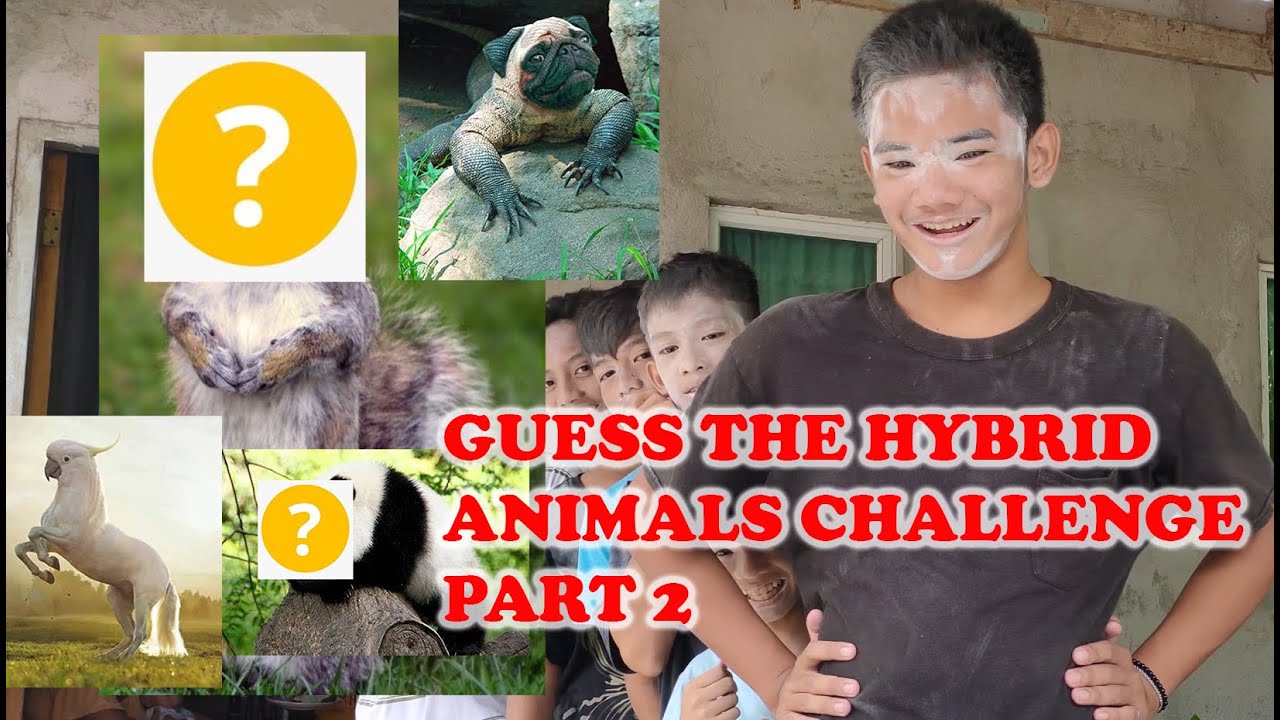 Guess the Hybrid Animals Challenge | Part 2 | Boss Rye Vlogs - YouTube