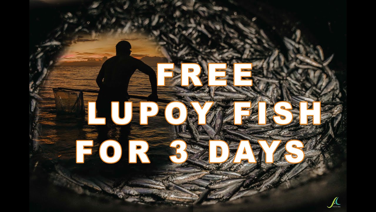 FREE LUPOY FISH FOR 3 DAYS | FIRST TIME TO EXPERIENCE SUCH ABUNDANCE ...