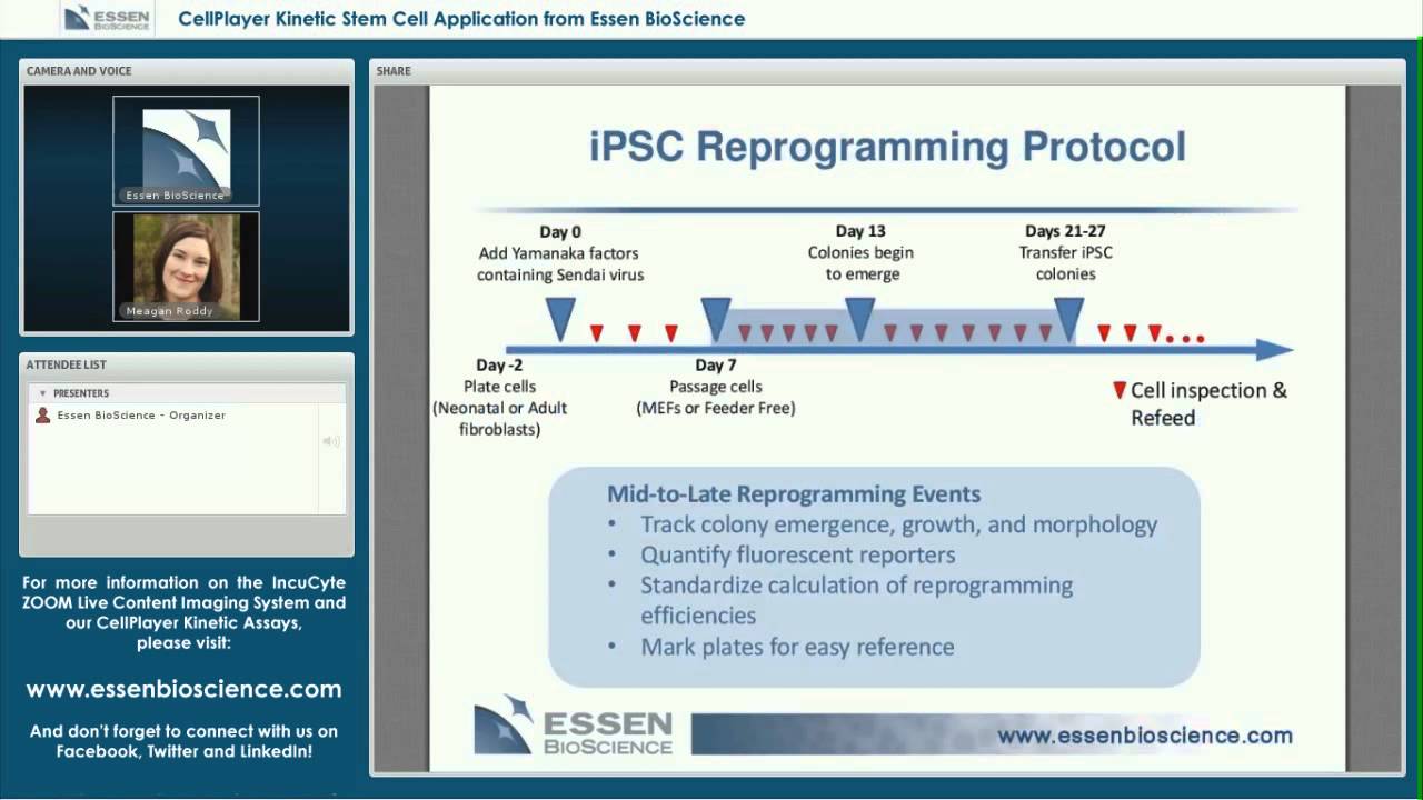 Essen BioScience Webinar Oct 3 2013 Stem Cell HD - YouTube