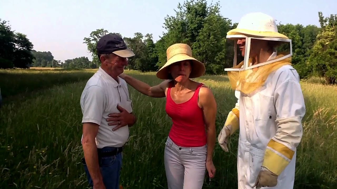 Beekeeping 101 Video: Q & A with a future beekeeper - YouTube