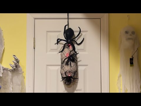 Gemmy 2007 Animated Shaking Spider Cocoon Sack - YouTube