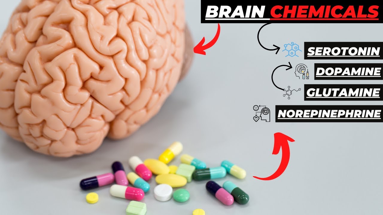How 🧠Brain Chemicals Influence Mood & Health | You Need To Know ...