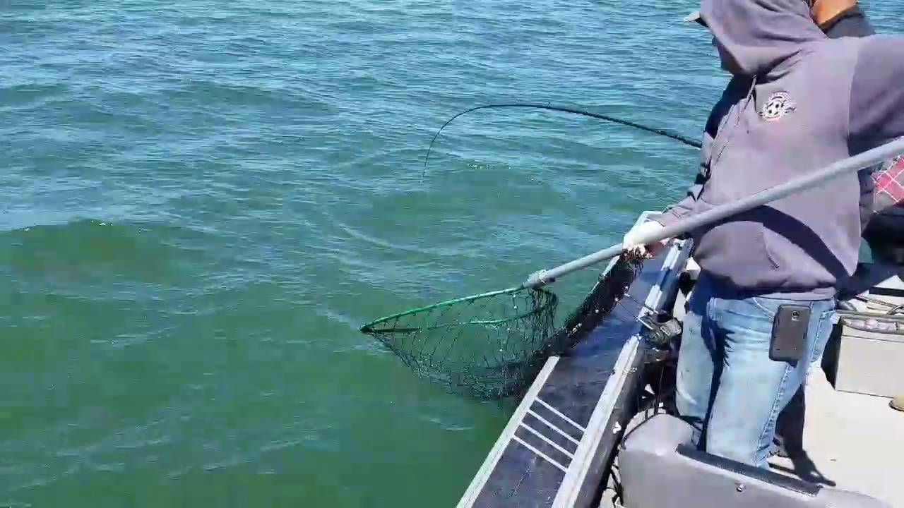 Salmon fishing Bouy 10 - Bouy 25 - YouTube