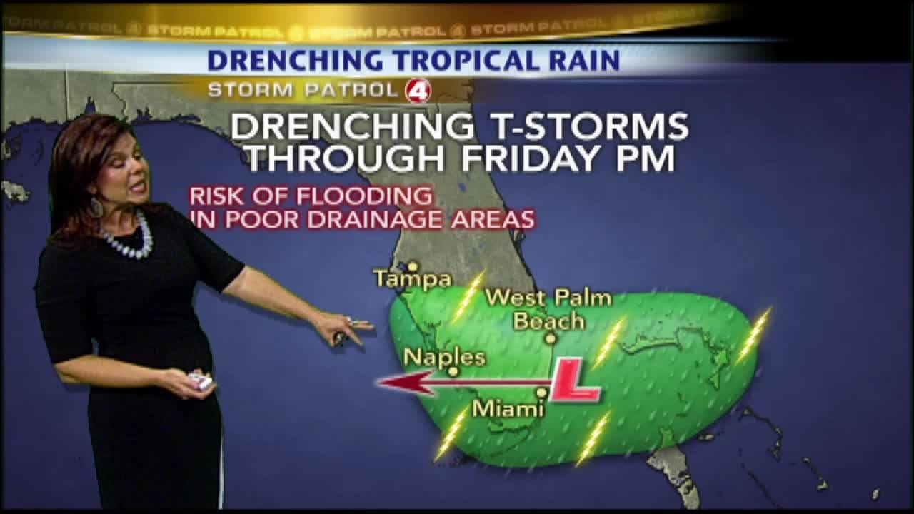 Meteorologist Michelle Cunningham's Storm Patrol Forecast - YouTube