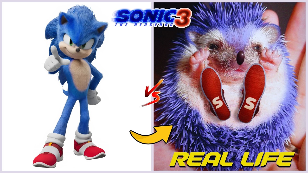Guess Sonic The Hedgehog 3 in Real Life | Sonic The Hedgehog 3 Demons ...