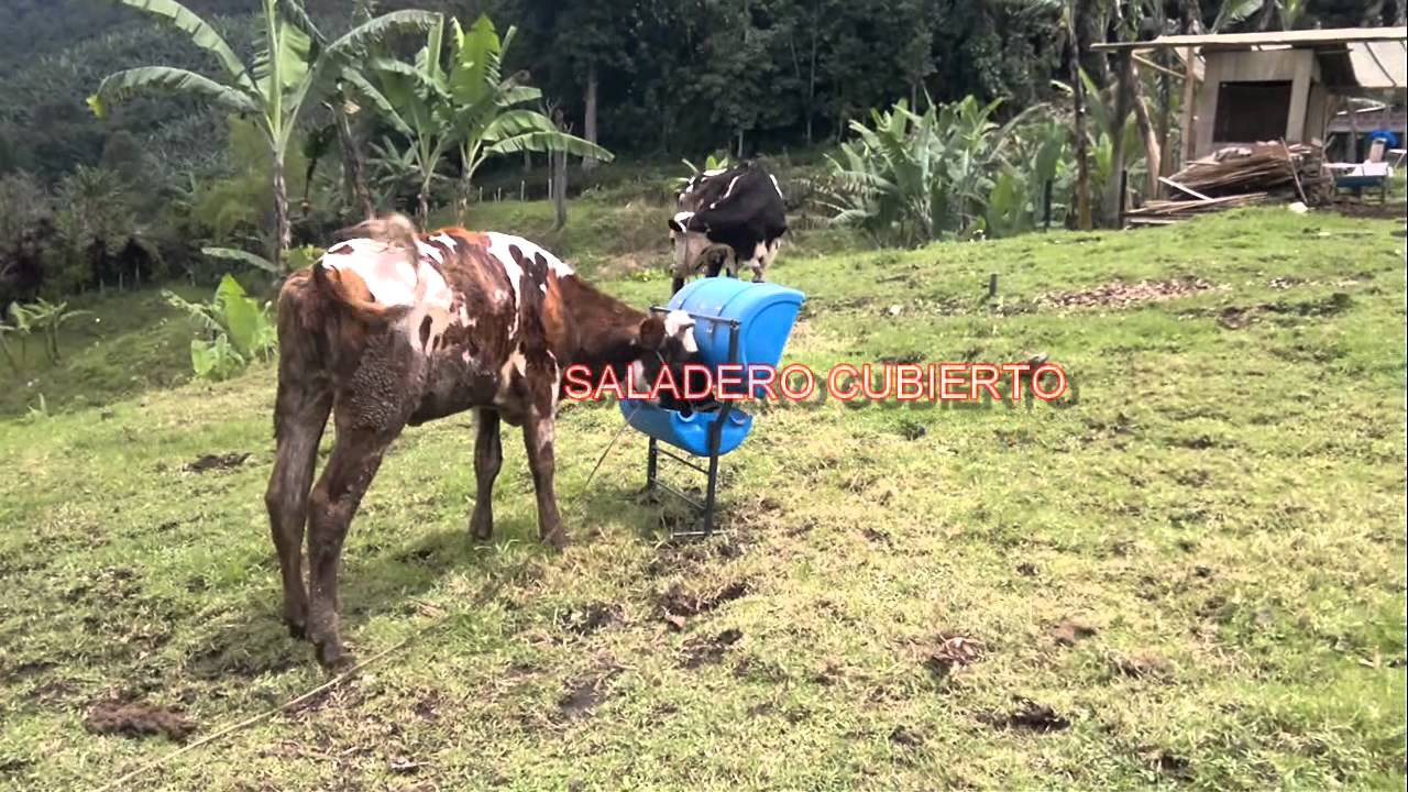 Saladero cubierto portatil PRACTIAGRO - YouTube