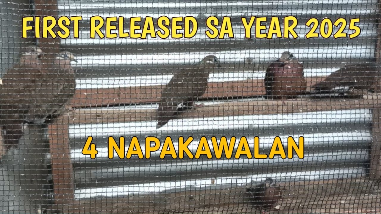 FIRST RELEASED SA YEAR 2025 | ALIMOKON RELEASED - YouTube