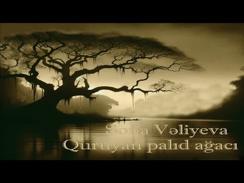 Sona Vəliyeva - Quruyan palıd ağacı - Kamran M. YuniS