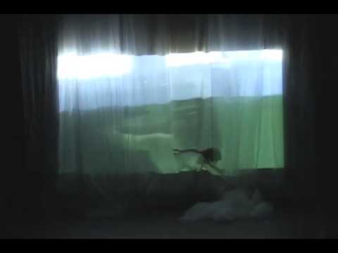 Lida Winfield Performance - YouTube