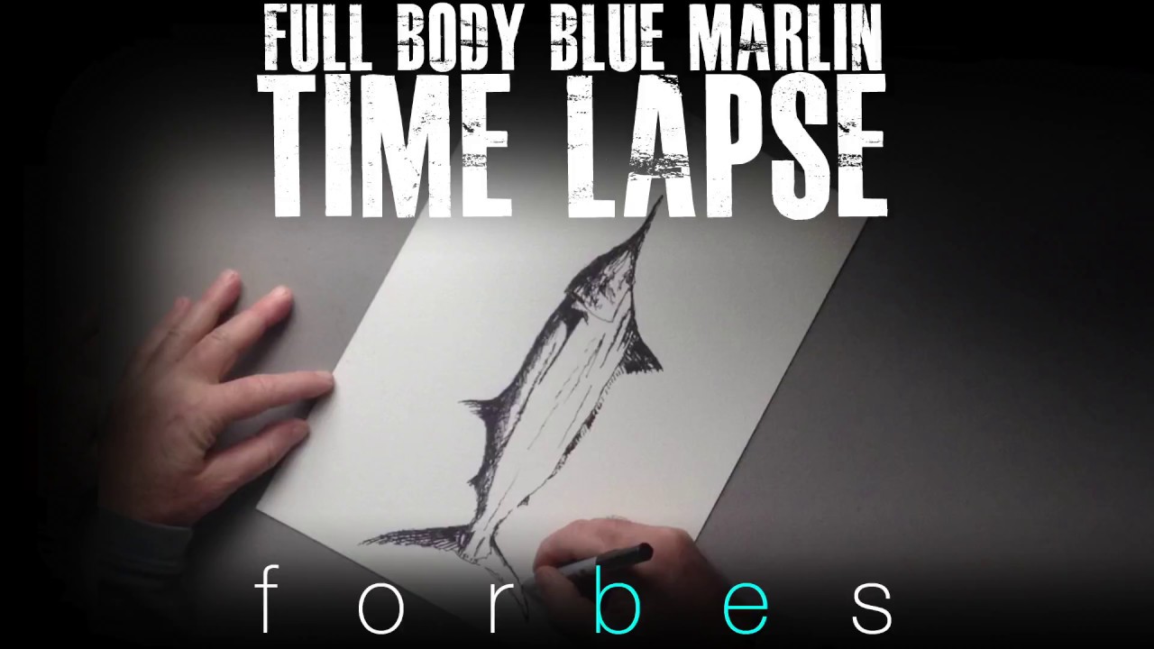 Marlin Full Body - Ink Time Lapse - YouTube