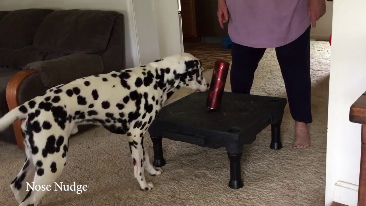 Nose Nudge - YouTube