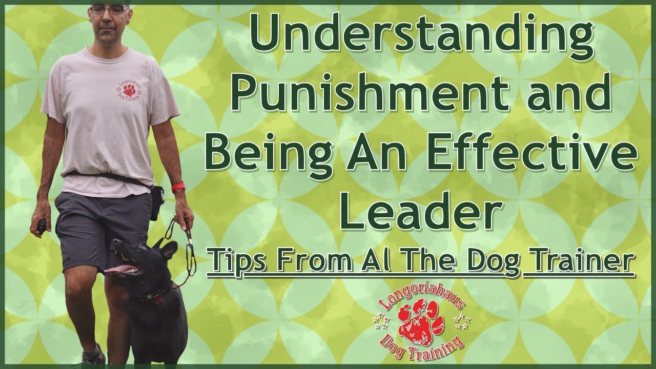 Understanding Punishment and Being An Effective Leader - Tips From Al ...