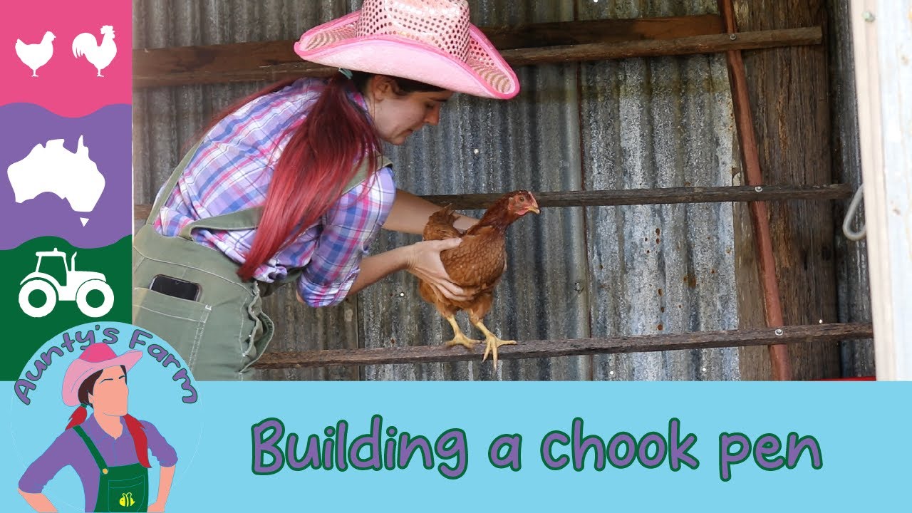 🐔🏠Build a chook pen on Aunty's Farm🛠️🌾 - YouTube