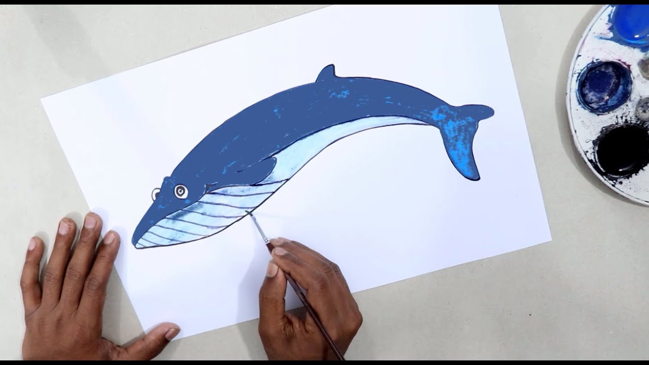How to draw Blue Whale easy - YouTube