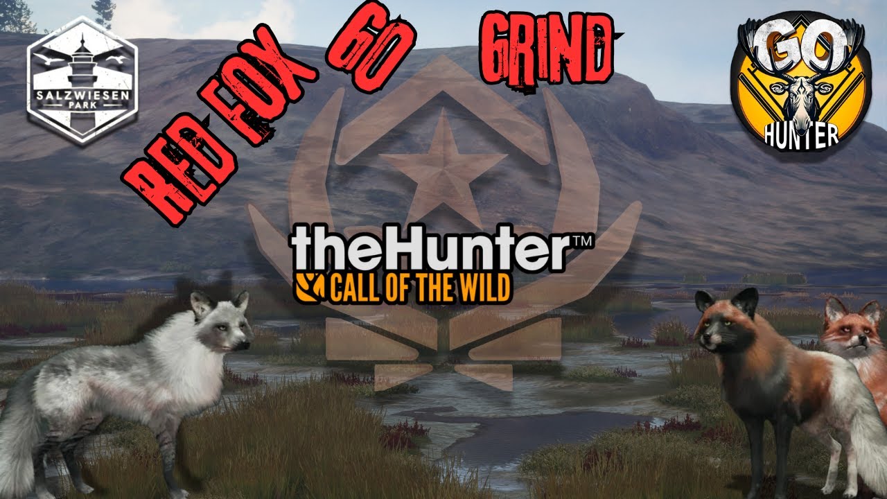 Lets Get Great One Red Fox On Salzwiesen Park! Call of the wild - YouTube