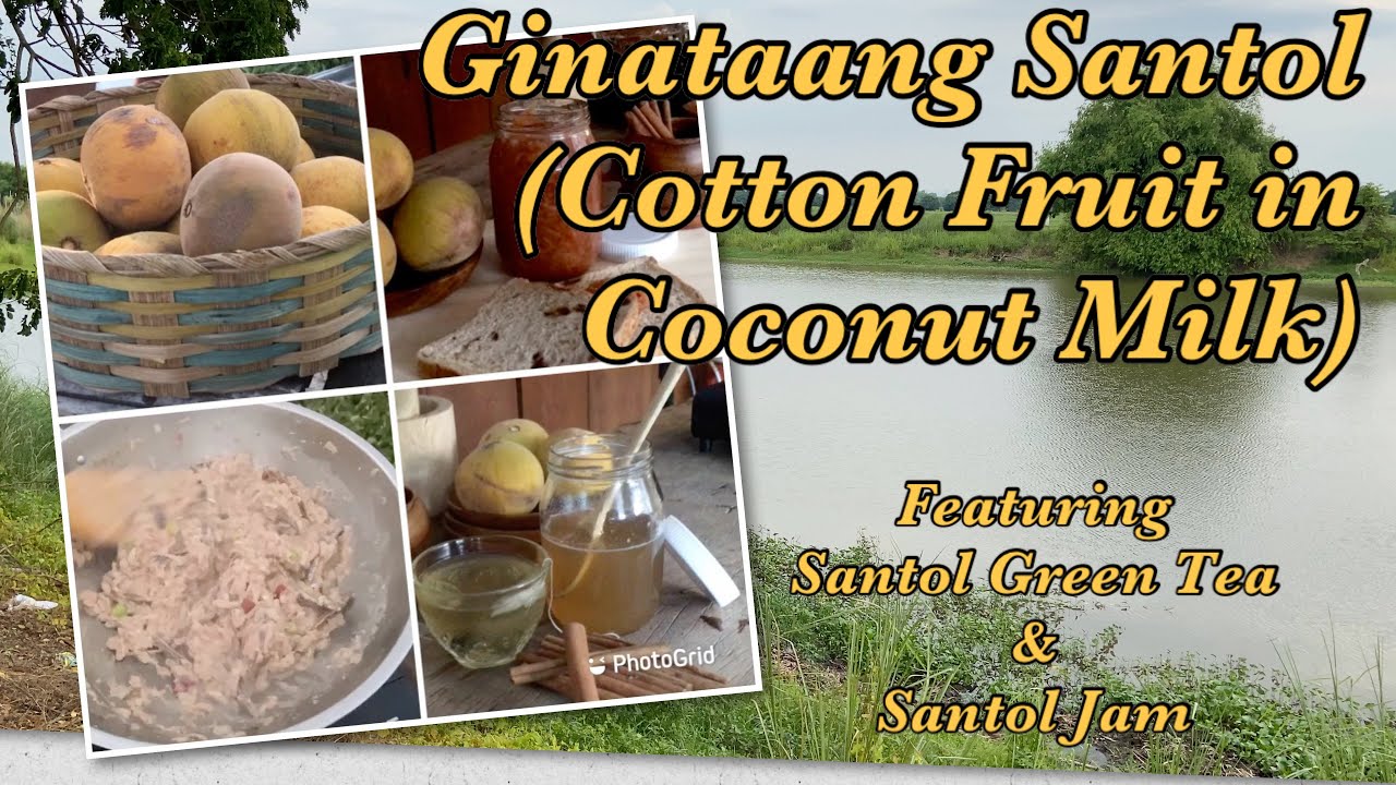 Ginataang Santol feat. Santol Green Tea and Santol Jam (Quarantine ...