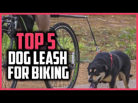 ✅Top 5 Best Dog Leash For Biking of 2024