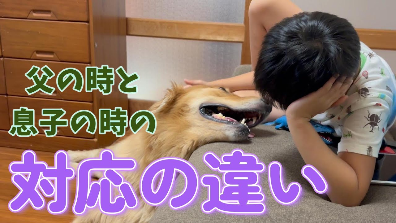 息子と主人への対応の違いにジェラシー - YouTube