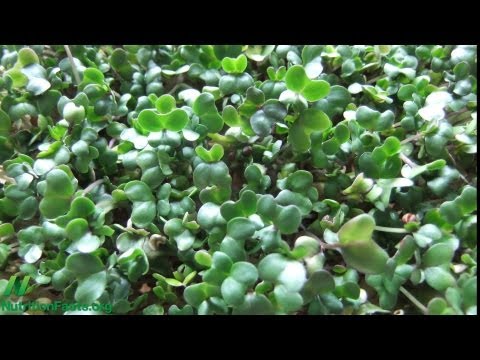 Sulforaphane: From Broccoli to Breast