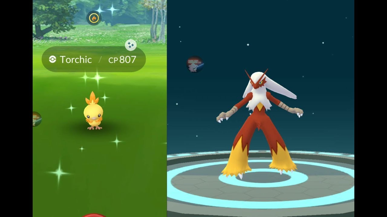 Torchic Community Day, Finally shiny Blaziken in Pokemon Go - YouTube