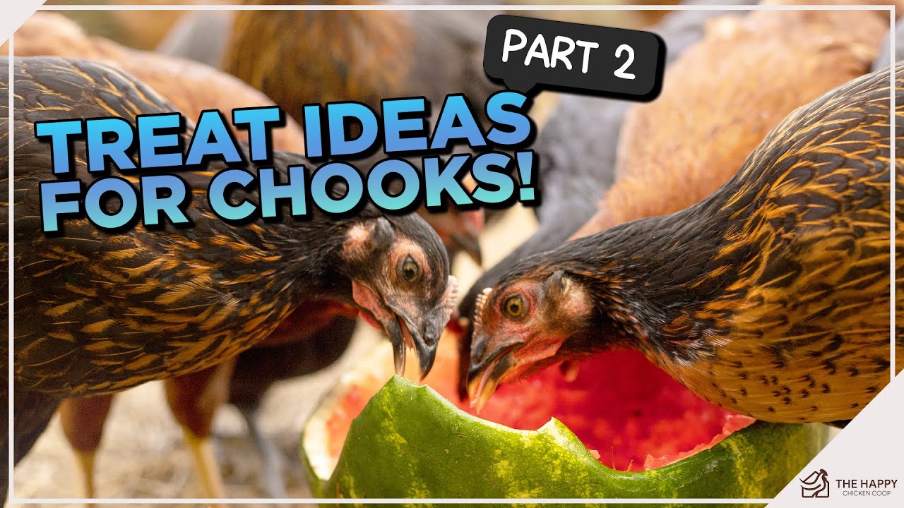 The Definitive List of Chicken Treats - Part 2 - YouTube