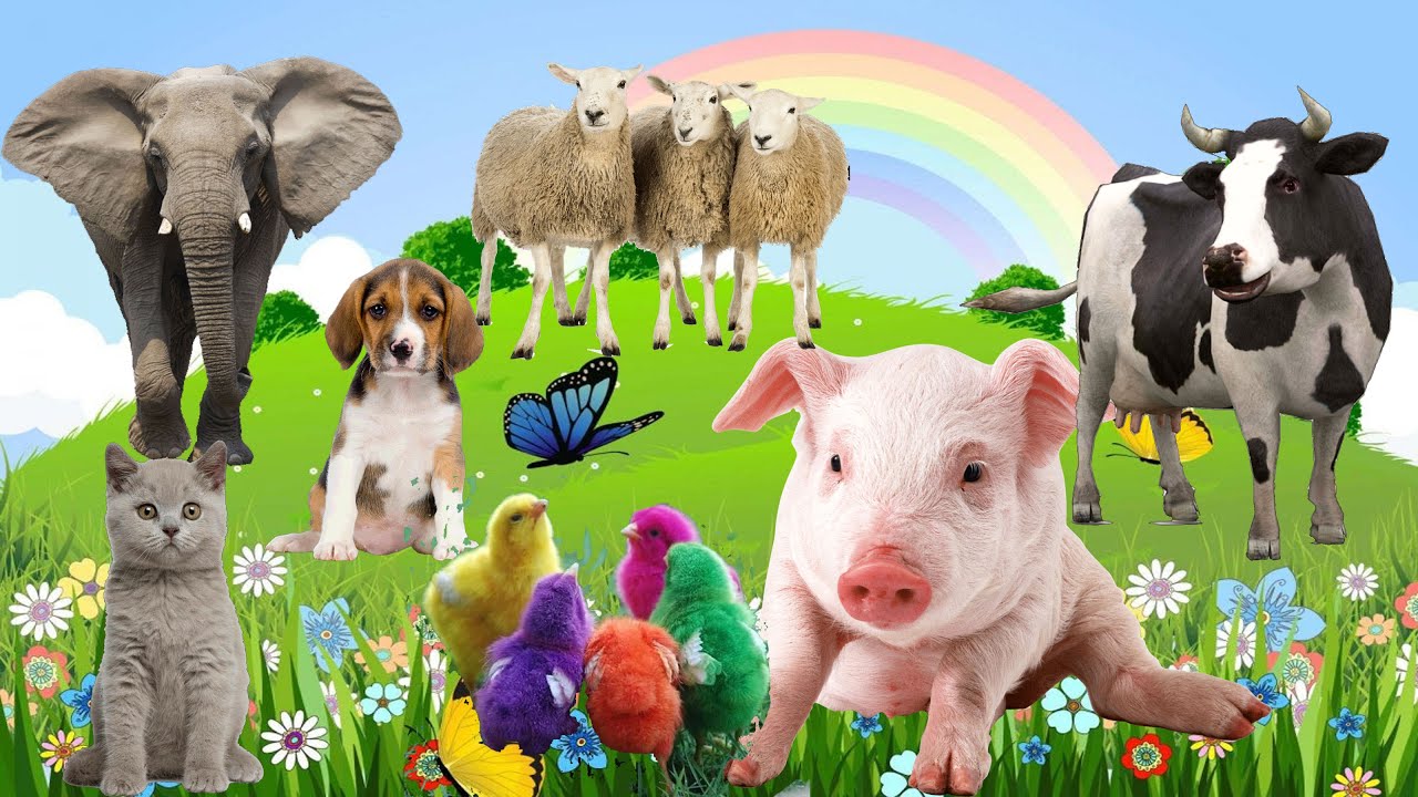 CUTE LITTLE ANIMALS - Buffalo, Elephant, Sheep, Pig, Cat, Dog, Chicken ...